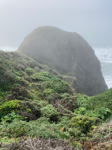 An Overview of California’s Mediterranean Climate System – Cal Geographic