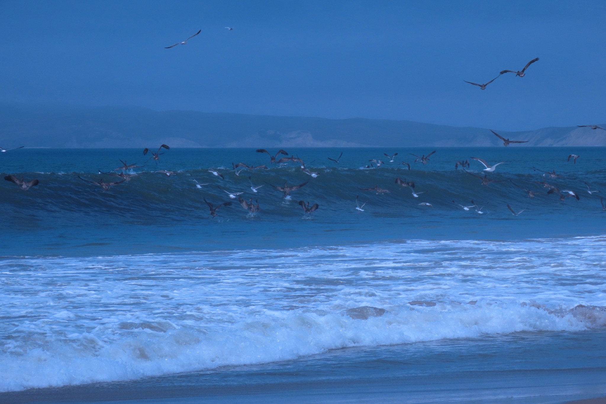 California Current Upwelling System – Cal Geographic