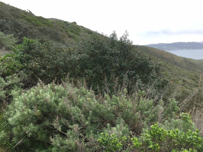 An Overview of California’s Mediterranean Climate System – Cal Geographic