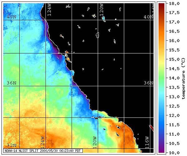 California Current Upwelling System – Cal Geographic