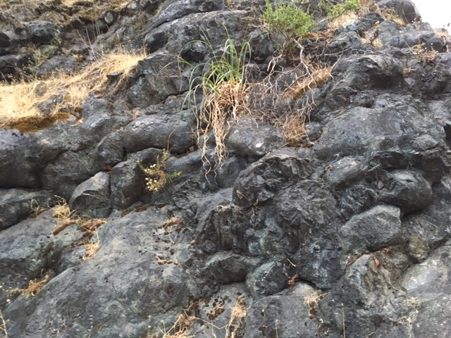 California’s Geologic Building Blocks, and the Accretionary Wedge – Cal ...