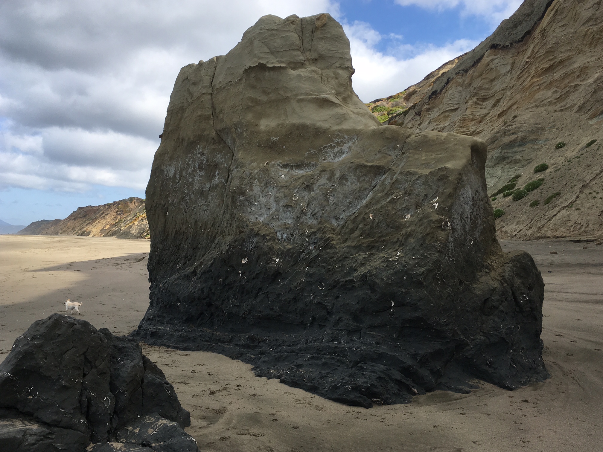 California’s Geologic Building Blocks, and the Accretionary Wedge – Cal ...