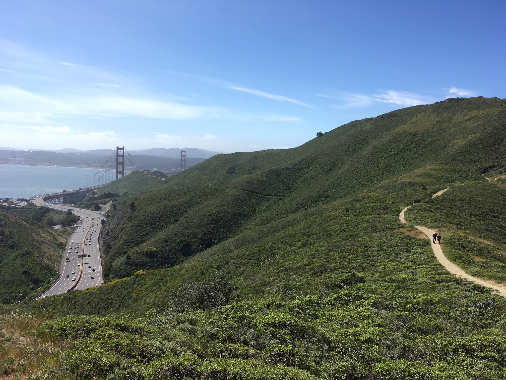 The Coastal Scrub Mosaic in California (Don’t Call It Soft Chaparral ...