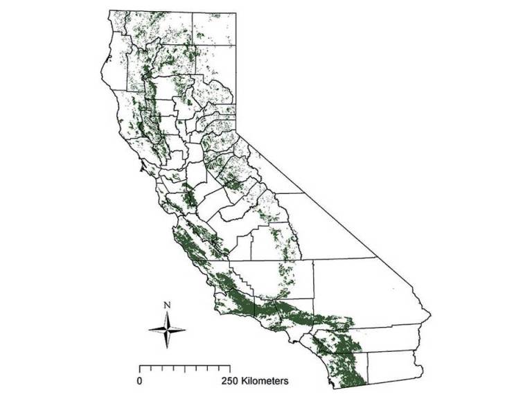 The Chaparral Mosaic in California – Cal Geographic