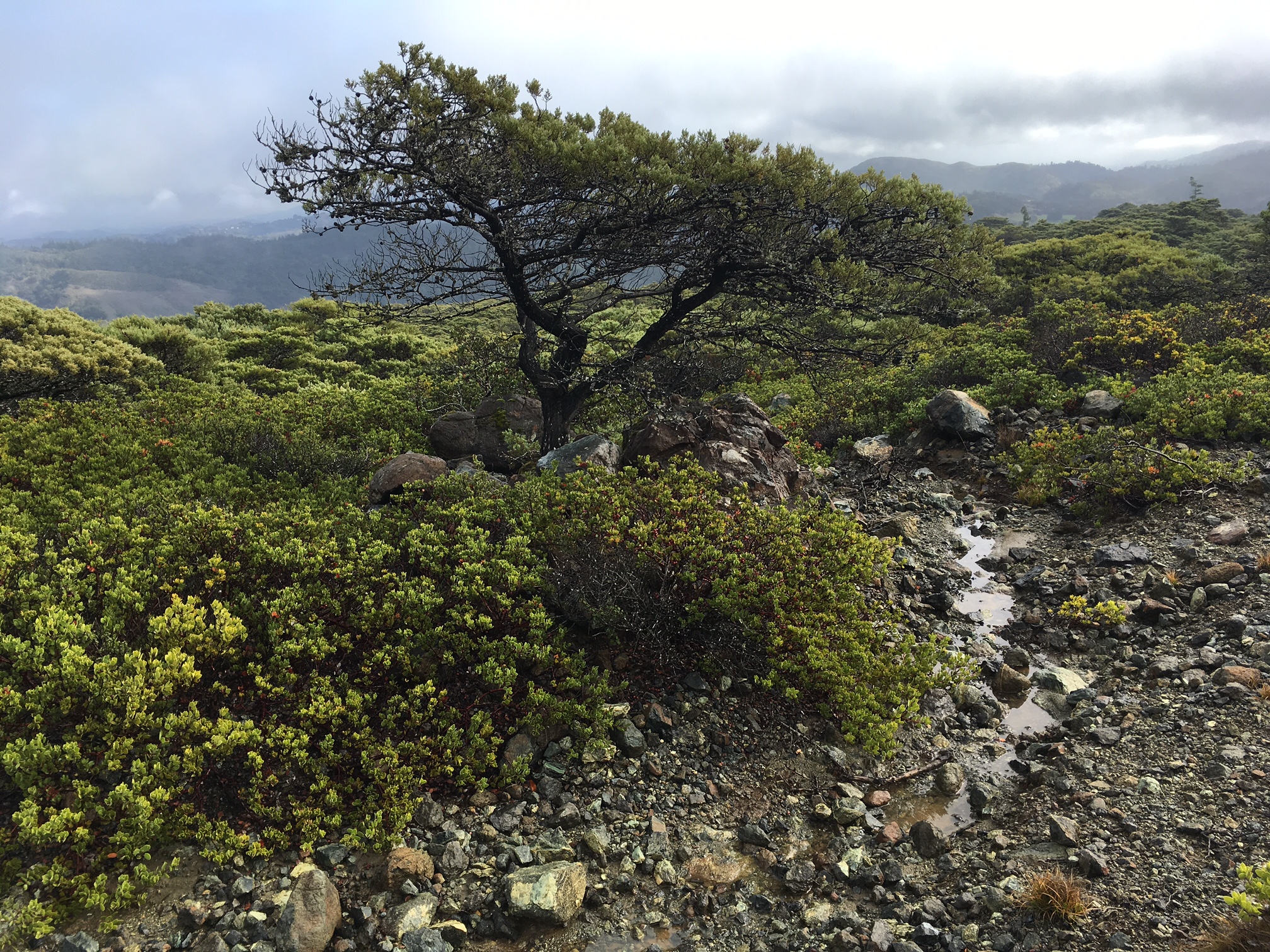 Wildfire in the Transverse Range Wildland Urban Interface – Cal Geographic