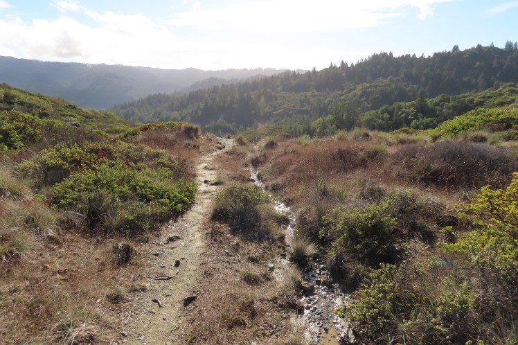 The Chaparral Mosaic in California – Cal Geographic