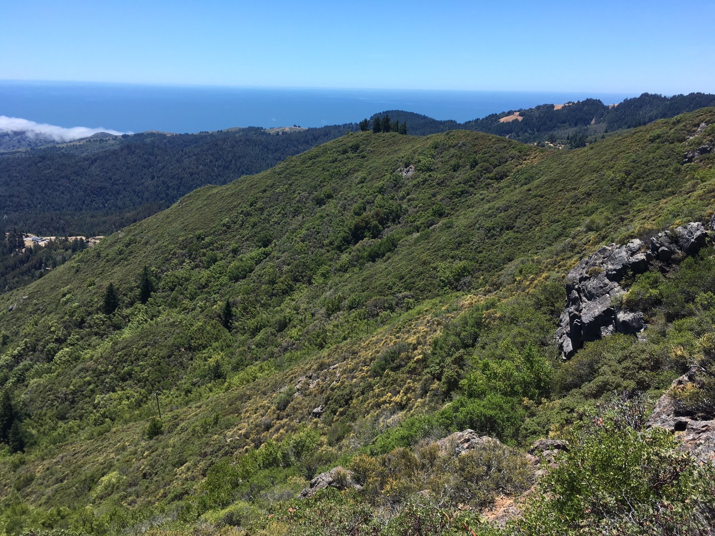The Chaparral Mosaic in California – Cal Geographic