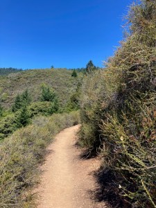 The Chaparral Mosaic in California – Cal Geographic