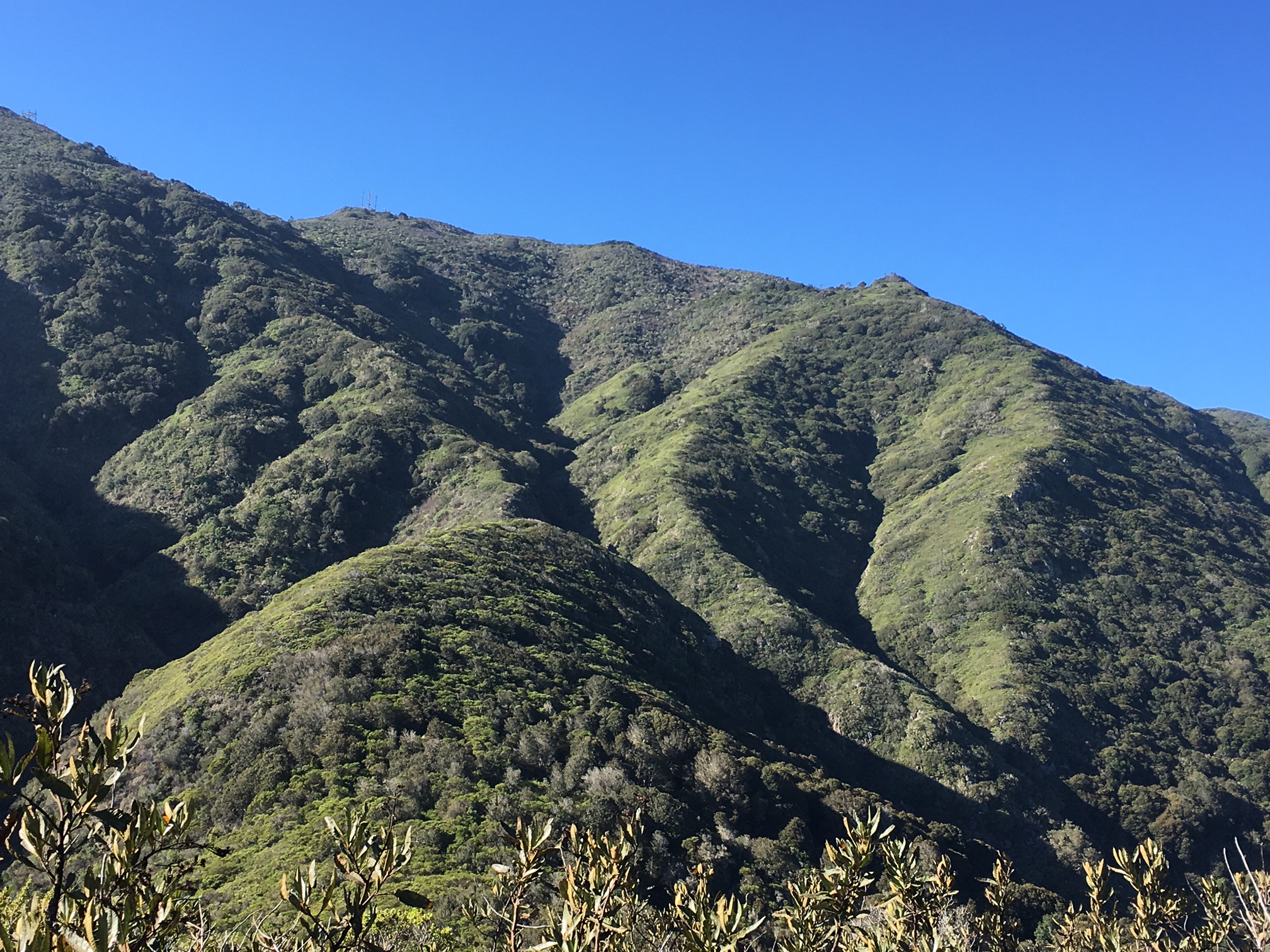 The Chaparral Mosaic in California – Cal Geographic