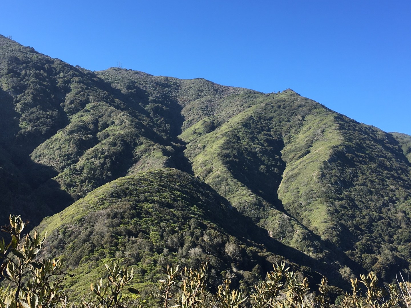 The Chaparral Mosaic in California – Cal Geographic