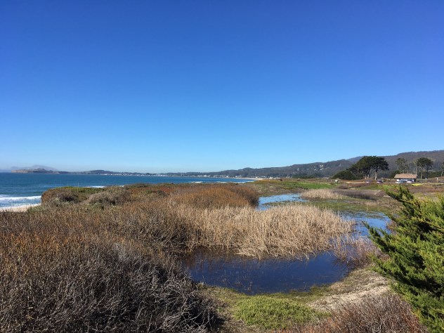 Geomorphology of California’s Seasonal Freshwater Wetlands – Cal Geographic