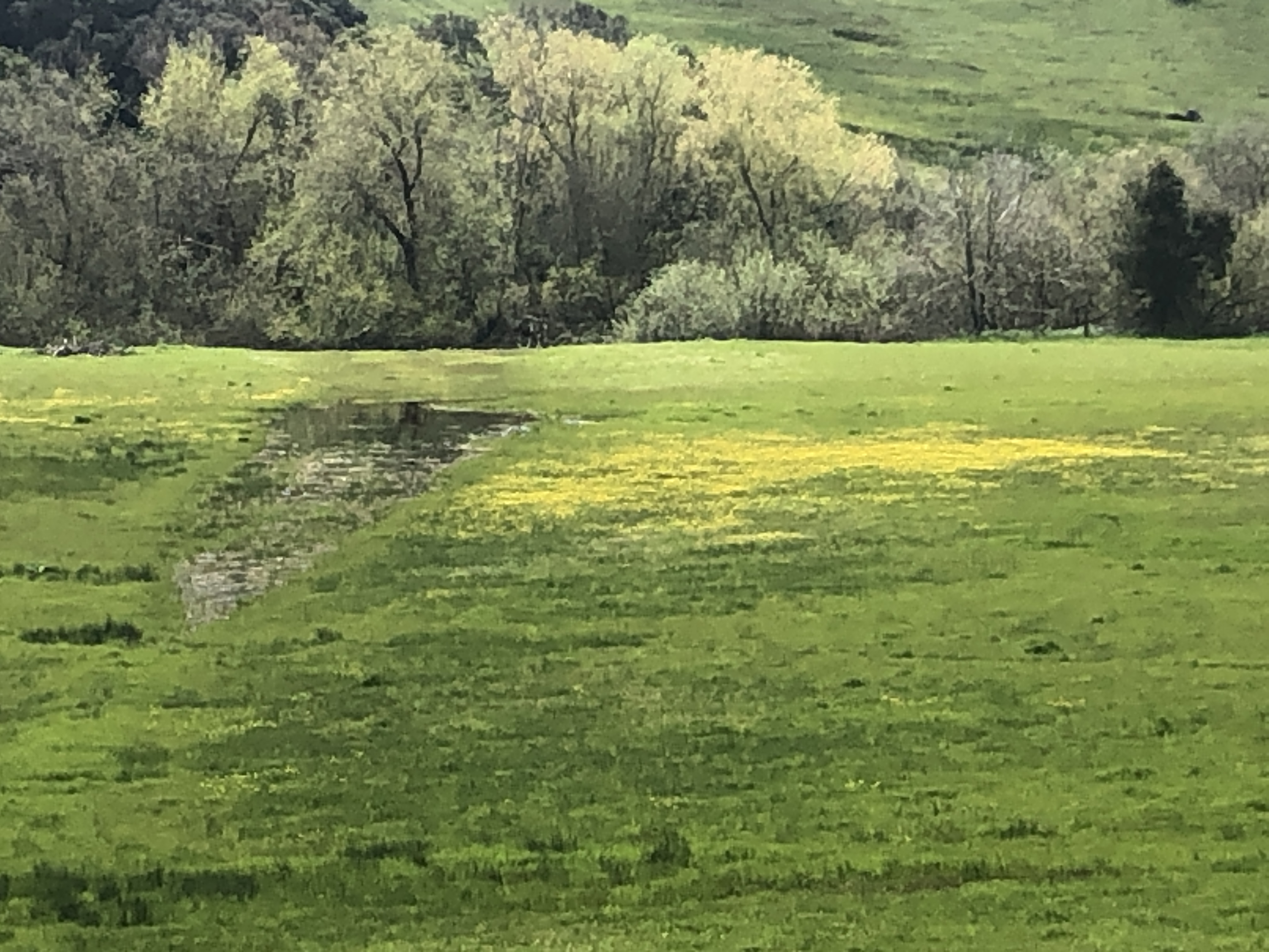 Geomorphology of California’s Seasonal Freshwater Wetlands – Cal Geographic