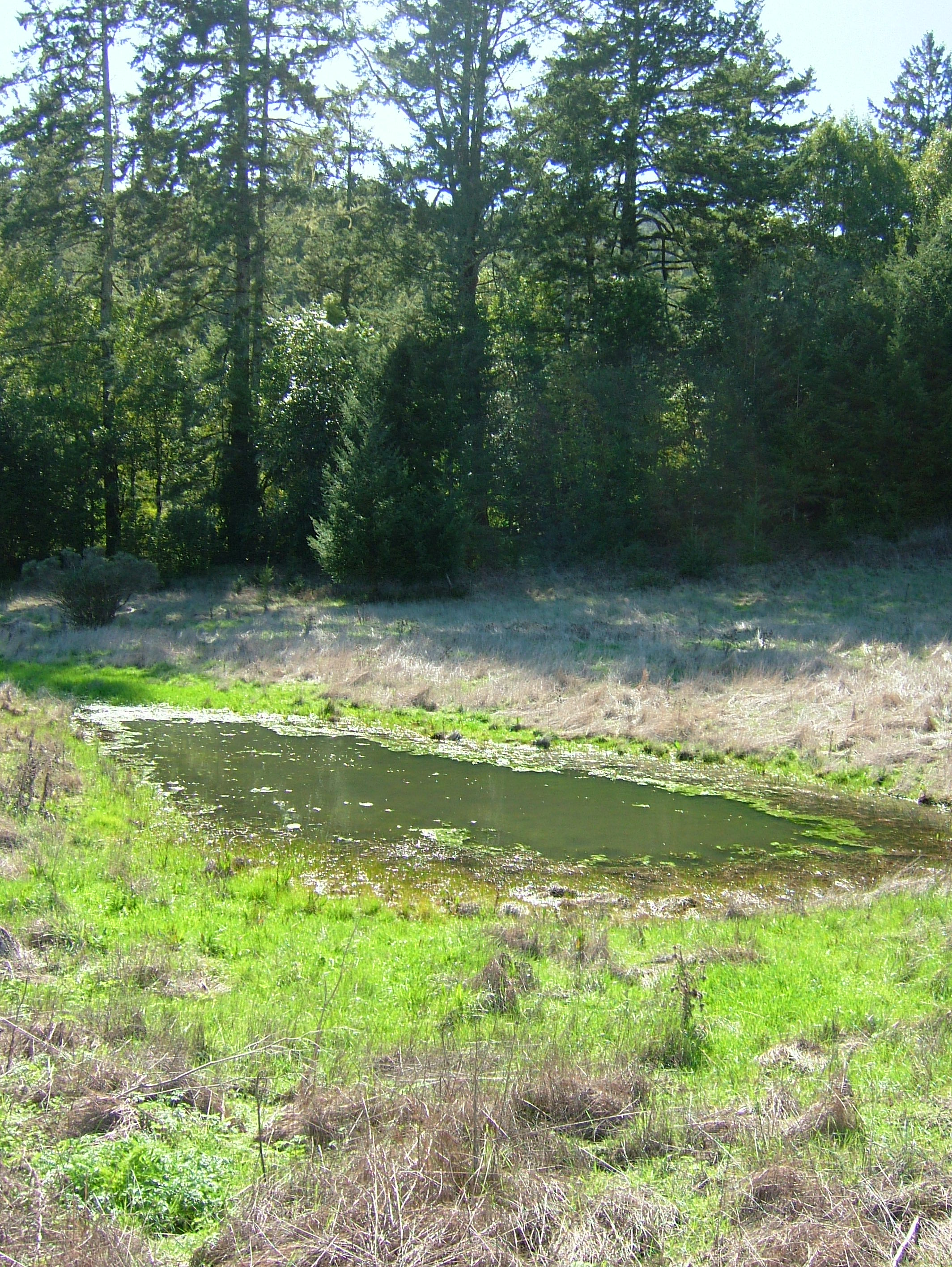 Geomorphology of California’s Seasonal Freshwater Wetlands – Cal Geographic