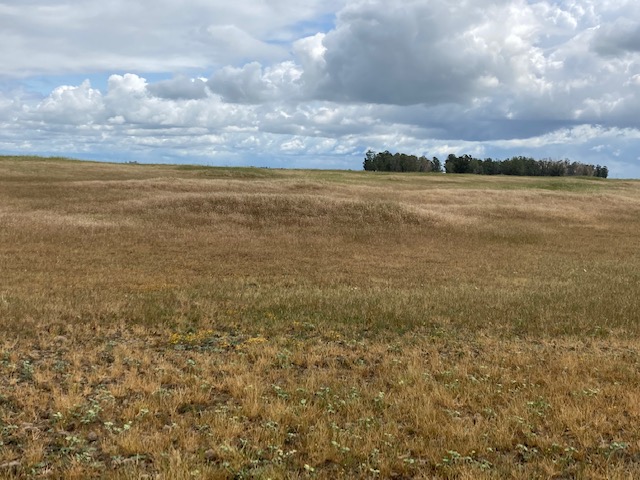 Mima Mounds – Cal Geographic