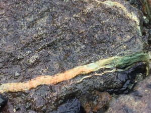 Serpentinite in California – Cal Geographic