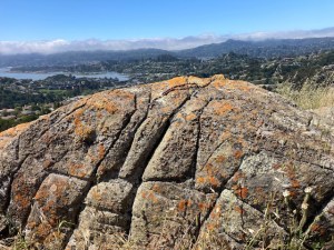 Serpentinite in California – Cal Geographic