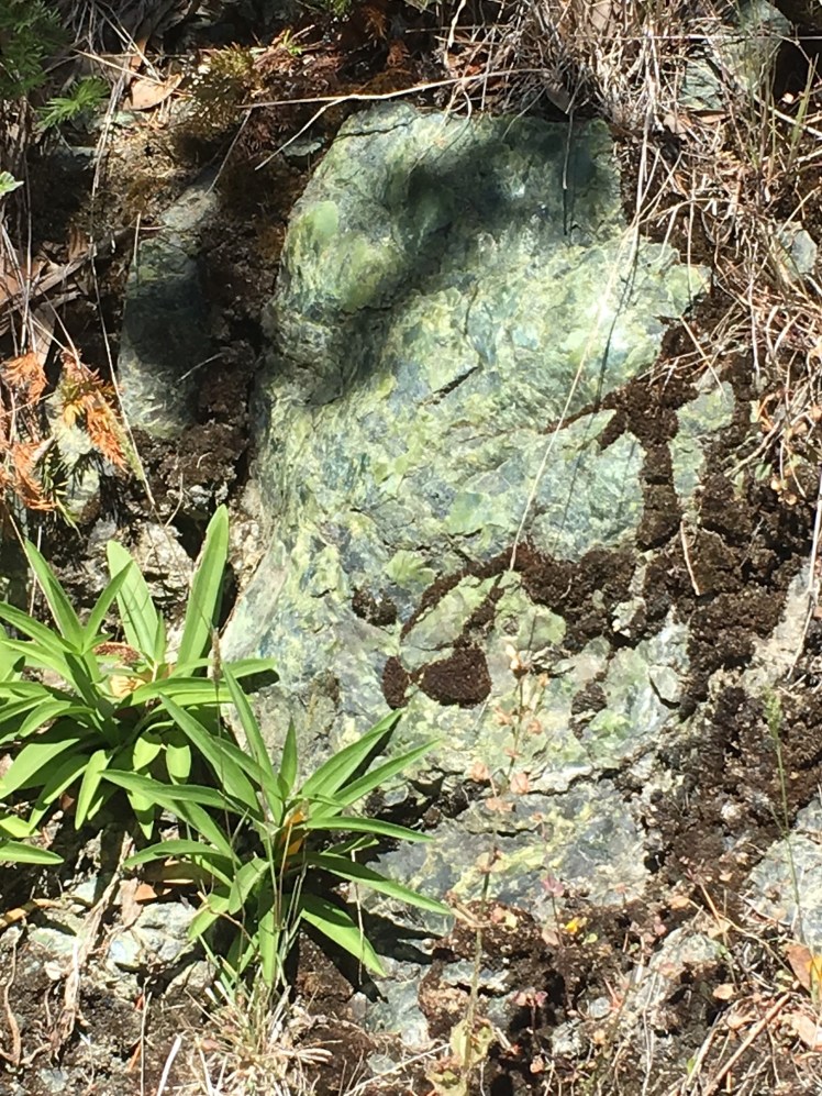 Serpentinite Habitats in California – Cal Geographic