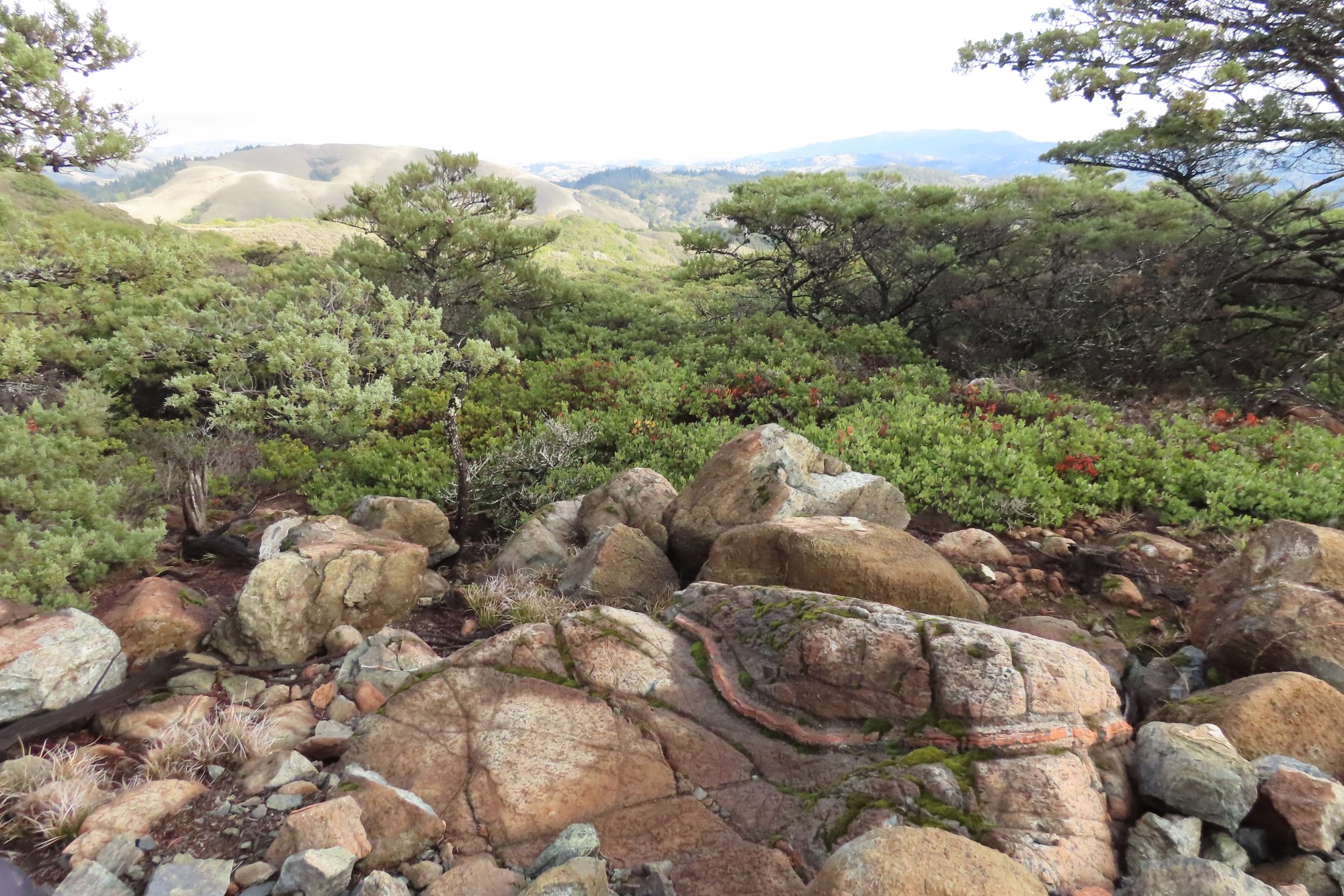 Serpentinite in California – Cal Geographic