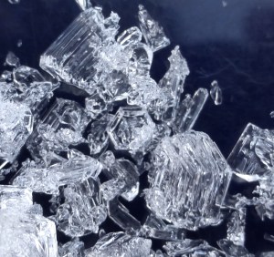 Biogeography of the Subnivean Zone – Cal Geographic