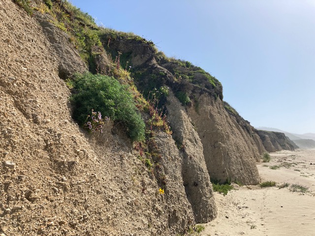 California’s Marine Terraces – Cal Geographic