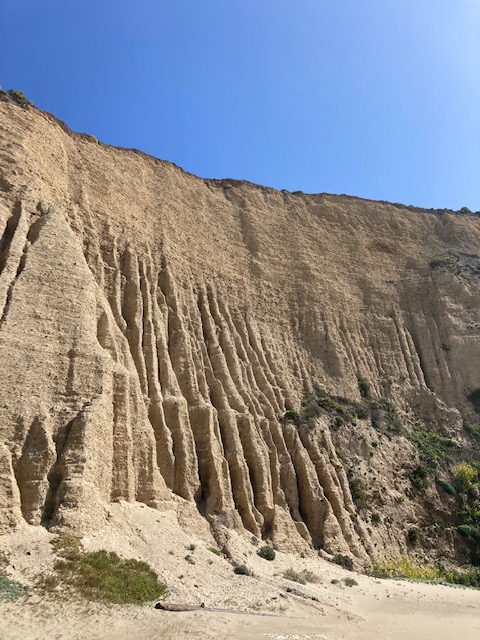 California’s Marine Terraces – Cal Geographic