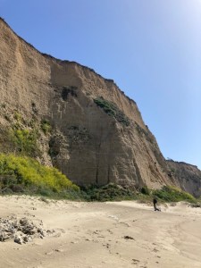 California’s Marine Terraces – Cal Geographic
