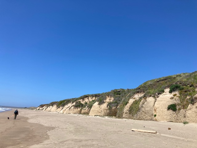 California’s Marine Terraces – Cal Geographic
