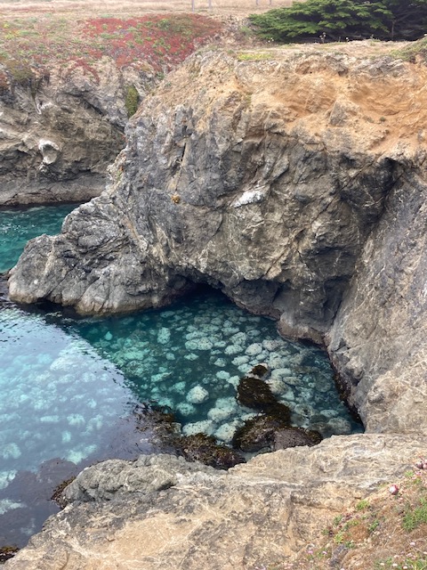 California’s Marine Terraces – Cal Geographic