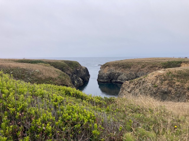 California’s Marine Terraces – Cal Geographic