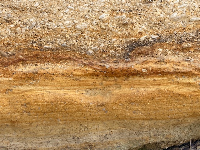 California’s Marine Terraces – Cal Geographic