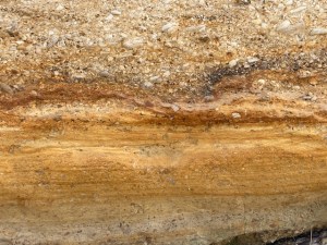 California’s Marine Terraces – Cal Geographic