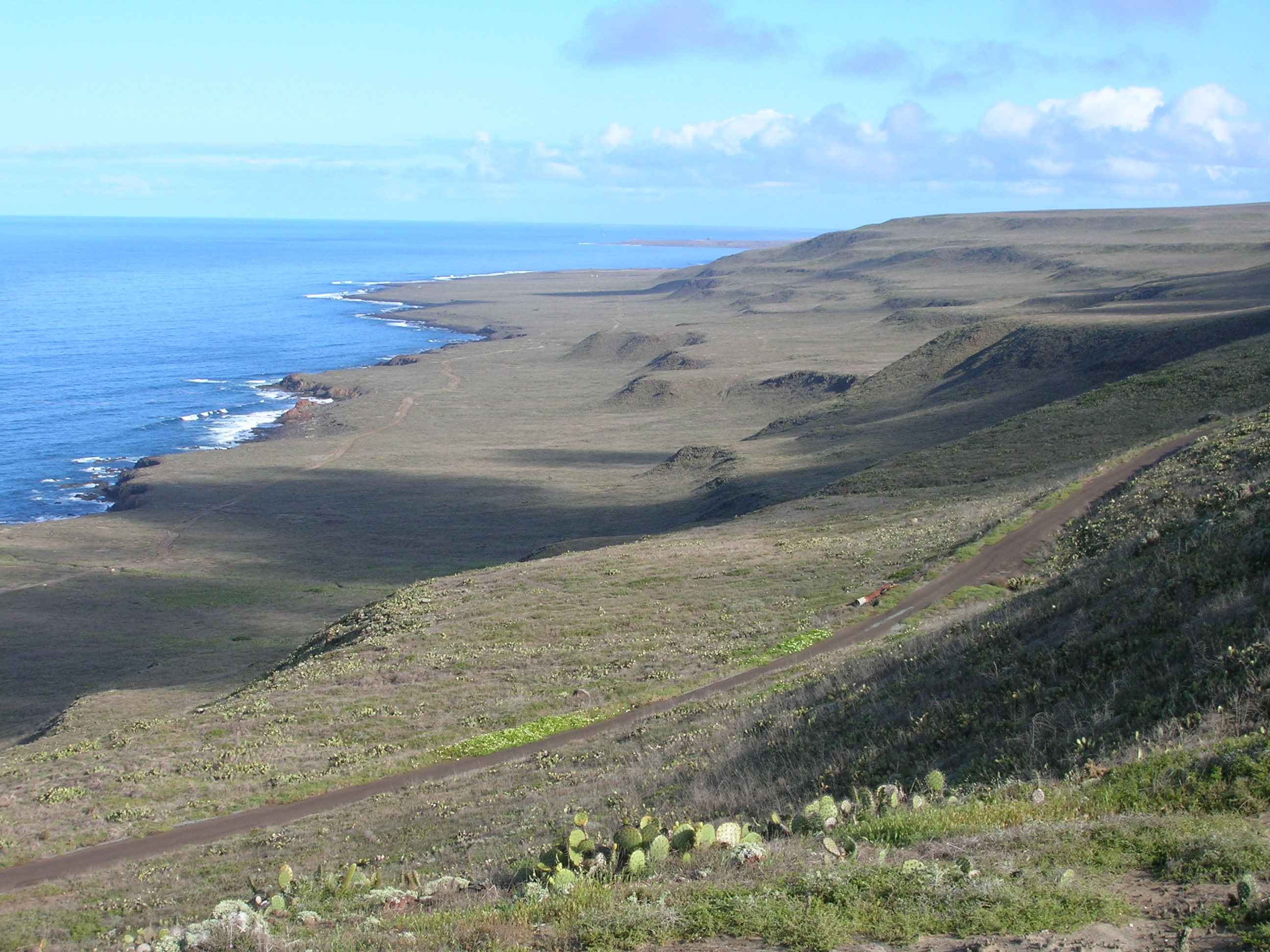Marine Terrace Flights, the Ecological Staircase Effect, and the ...