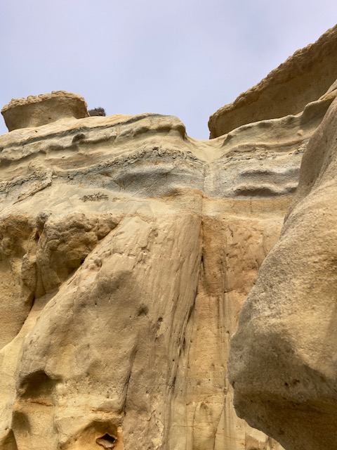 Rare Ecosystems and Sedimentary Landscapes of Torrey Pines State ...