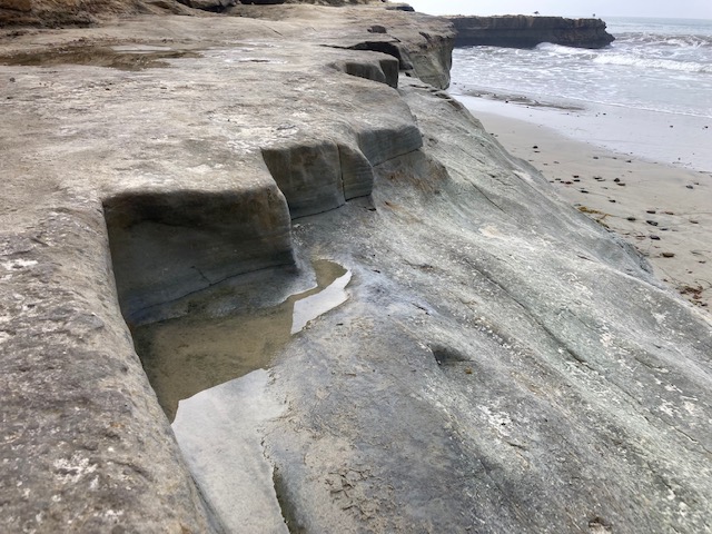 Rare Ecosystems and Sedimentary Landscapes of Torrey Pines State ...