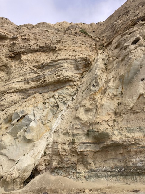 Rare Ecosystems and Sedimentary Landscapes of Torrey Pines State ...