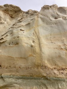 Rare Ecosystems and Sedimentary Landscapes of Torrey Pines State ...