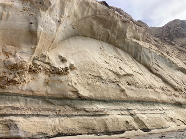 Rare Ecosystems and Sedimentary Landscapes of Torrey Pines State ...