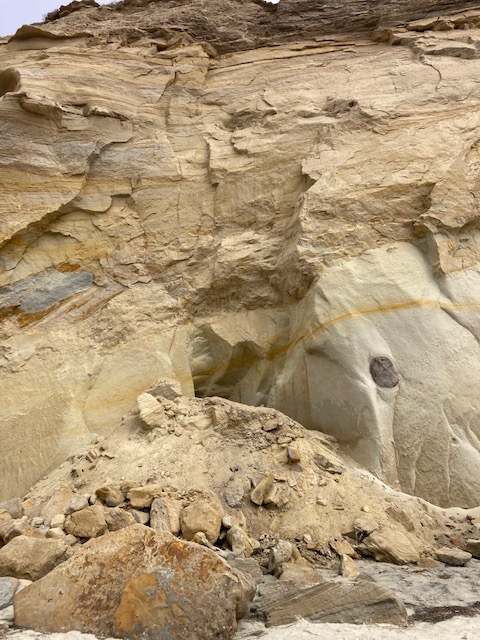 Rare Ecosystems and Sedimentary Landscapes of Torrey Pines State ...