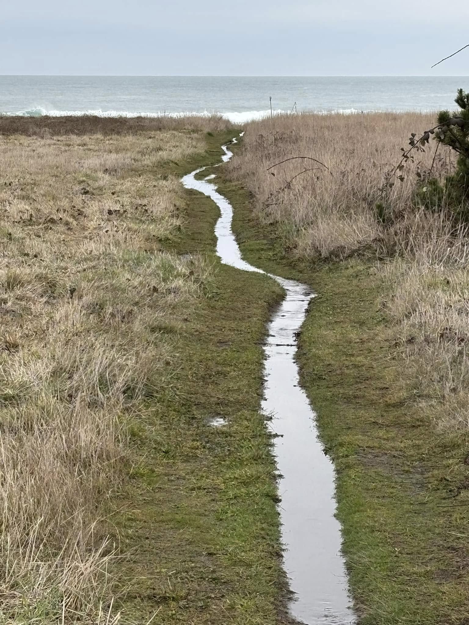 On the Marine Terrace – Flatscapes – Cal Geographic