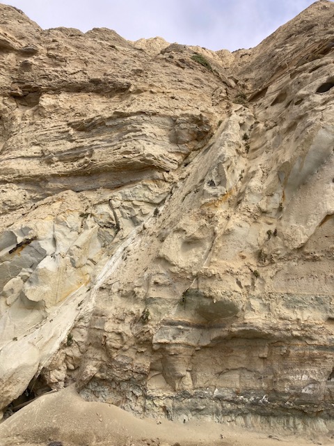 On the Marine Terrace – Torrey Pines Tectonic Fault – Cal Geographic