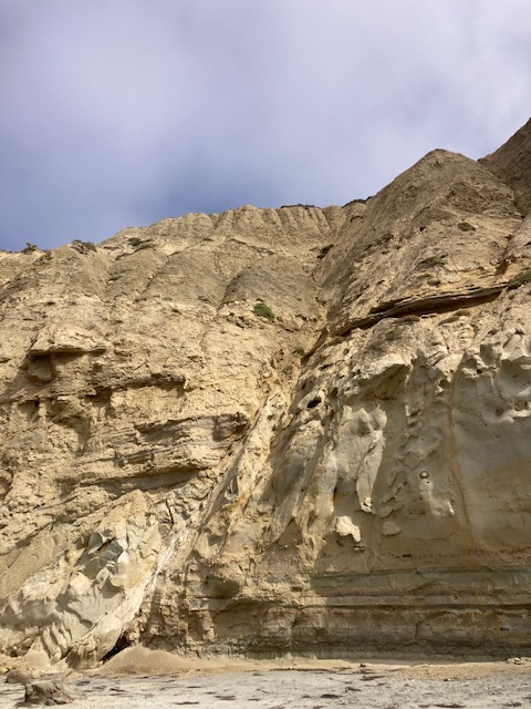 On the Marine Terrace – Torrey Pines Tectonic Fault – Cal Geographic