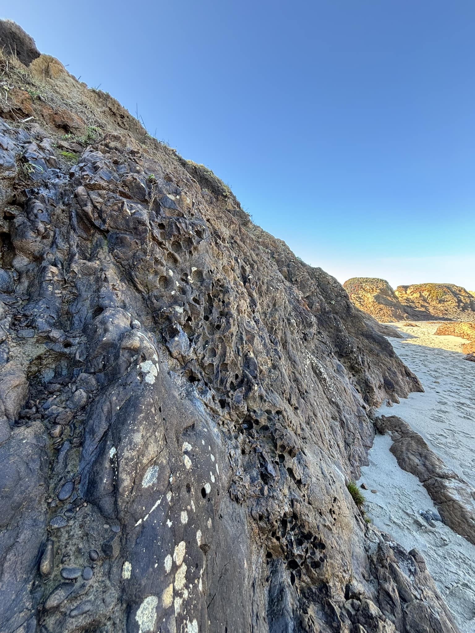On the Marine Terrace – Fossil Pholad Boreholes – Cal Geographic