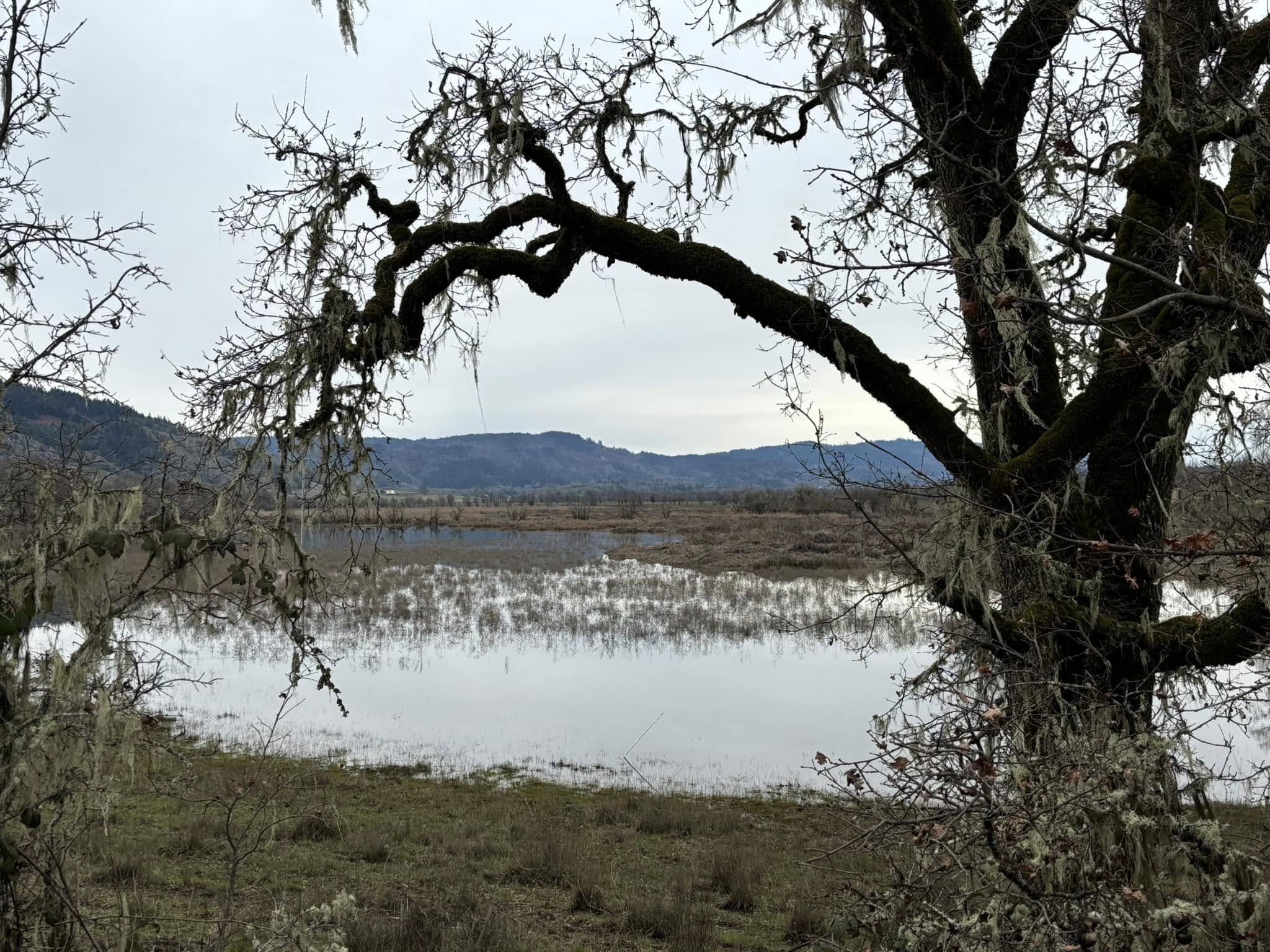 Earthquake Country: Tectonic Basins of the Maacama Fault – Cal Geographic