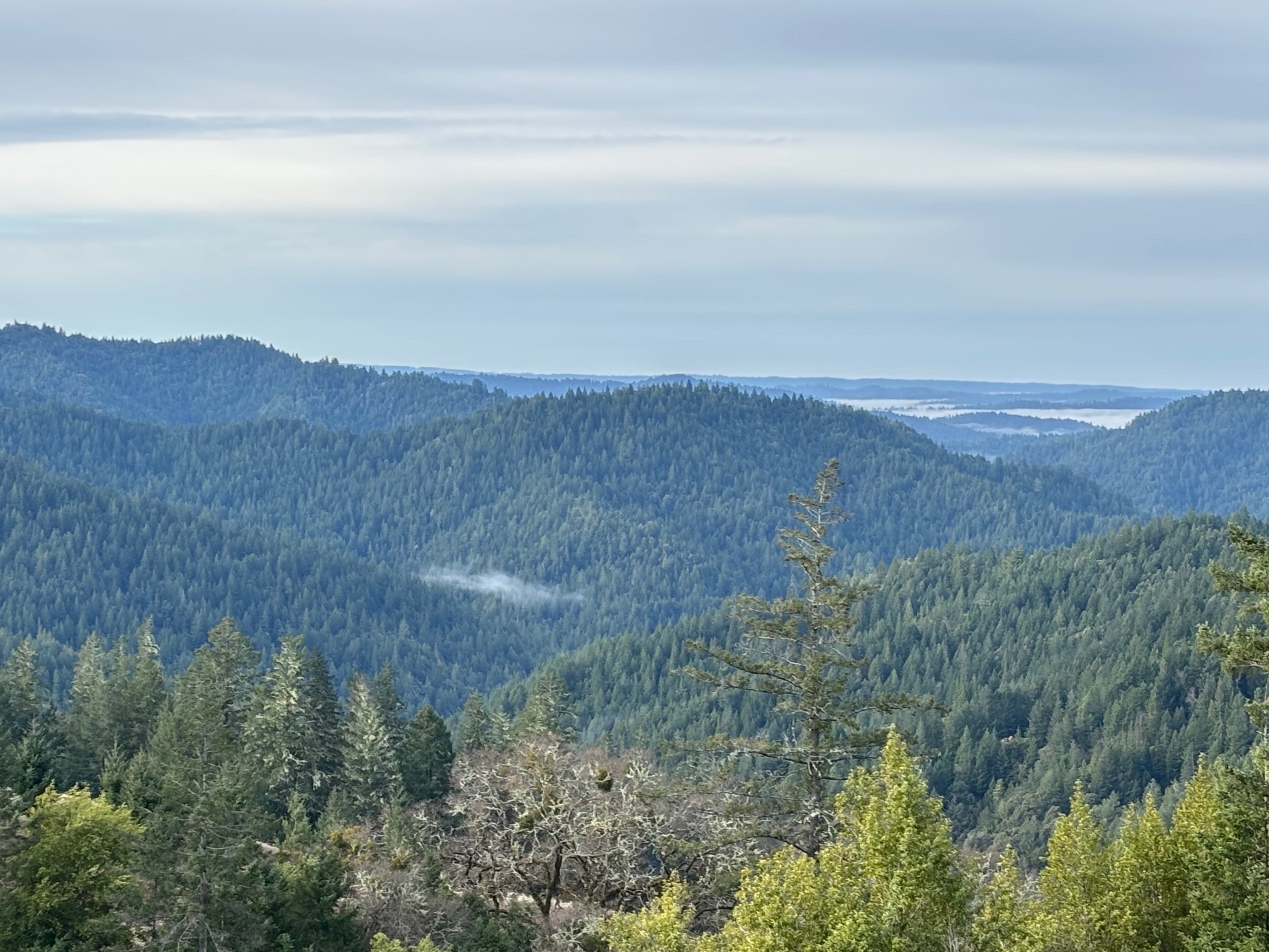 Earthquake Country: Coastal Belt of the Northern Coast Range – Cal ...