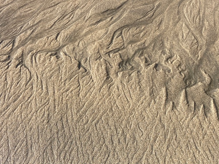 Geomorphography: Bedform – Cal Geographic
