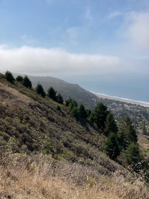 Earthquake Country: Mount Tamalpais Blind Thrust Fault – Cal Geographic