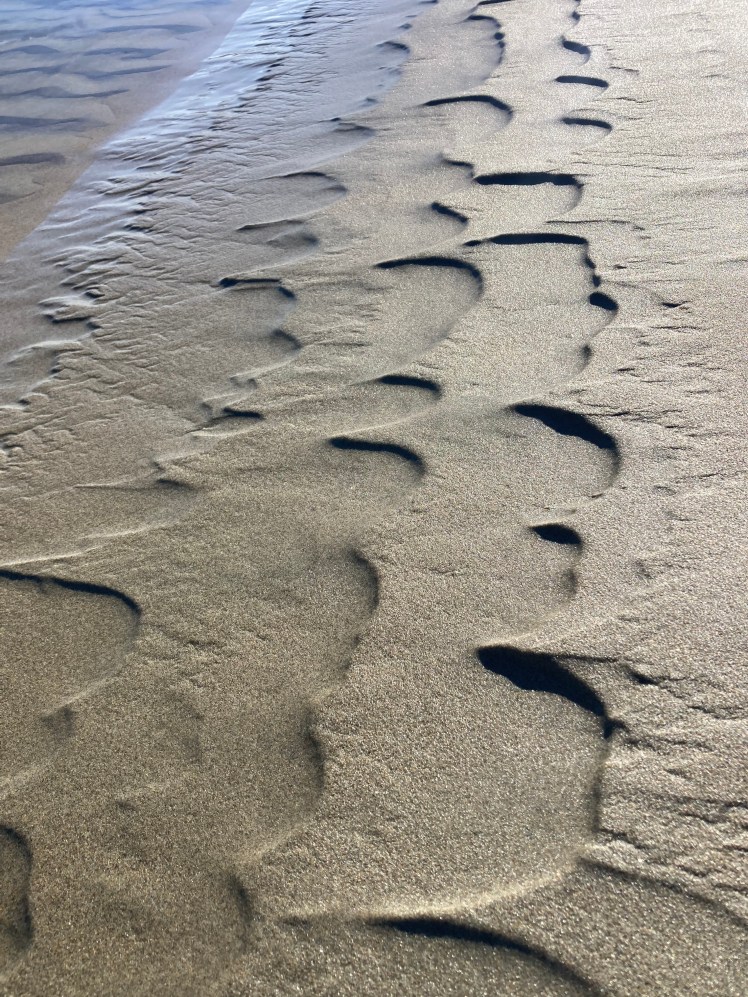 Geomorphography: Bedform – Cal Geographic