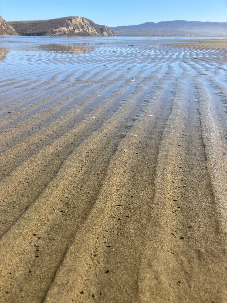 Geomorphography: Bedform – Cal Geographic