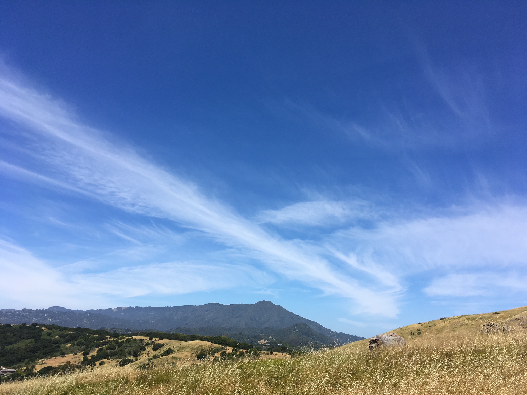 Earthquake Country: Mount Tamalpais Blind Thrust Fault – Cal Geographic