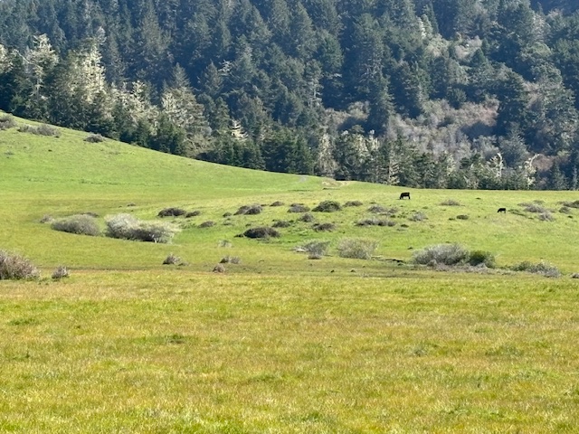 On the Marine Terrace – The Pacific Star Fault and Tectonic Landforms ...